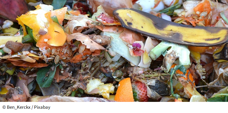 Biomüll: Was gehört in die Biotonne und was nicht ...